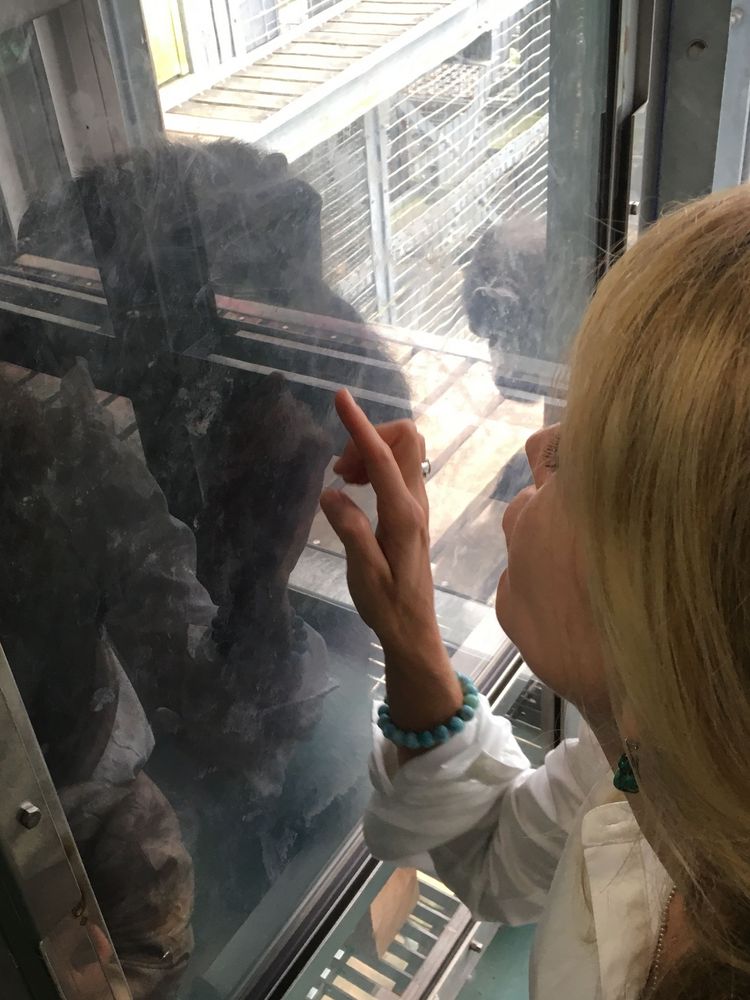 Simone Pika - Comparative Biocognition: News and Events